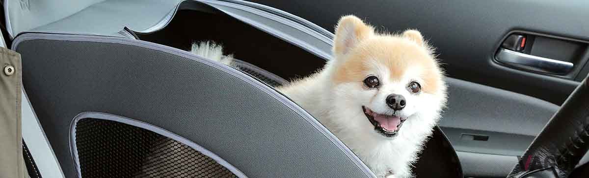 愛犬も喜ぶアクセサリーが満載！ ホンダアクセスの「Honda Dog」シリーズに注目 | VAGUE(ヴァーグ)